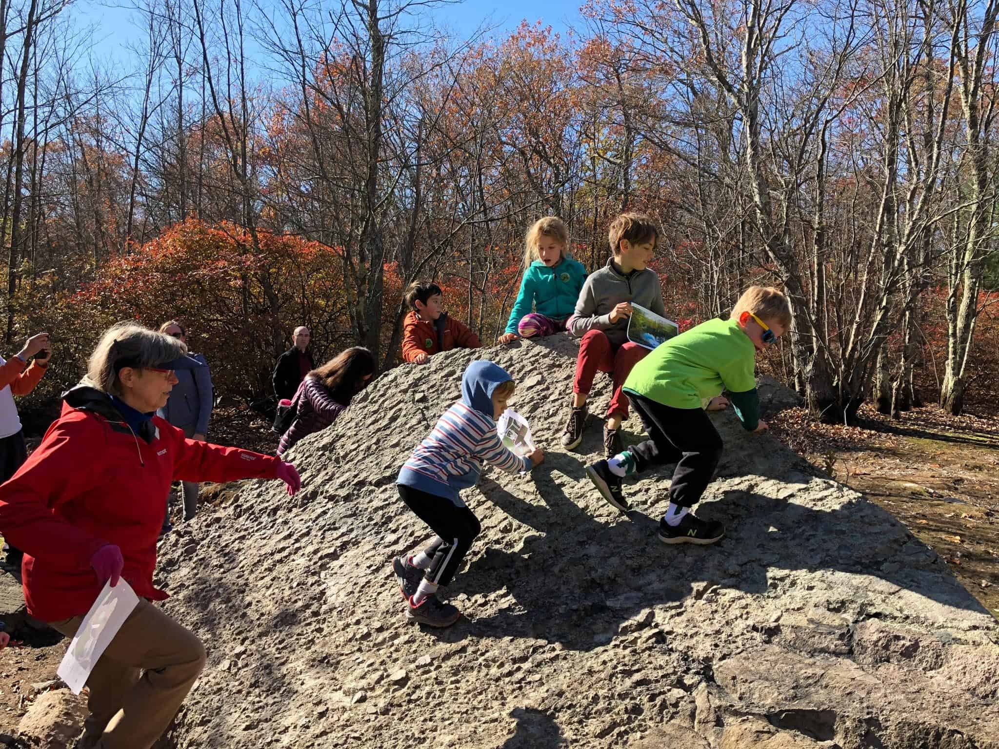 Fall Walks in Webster Woods - Newton Conservators