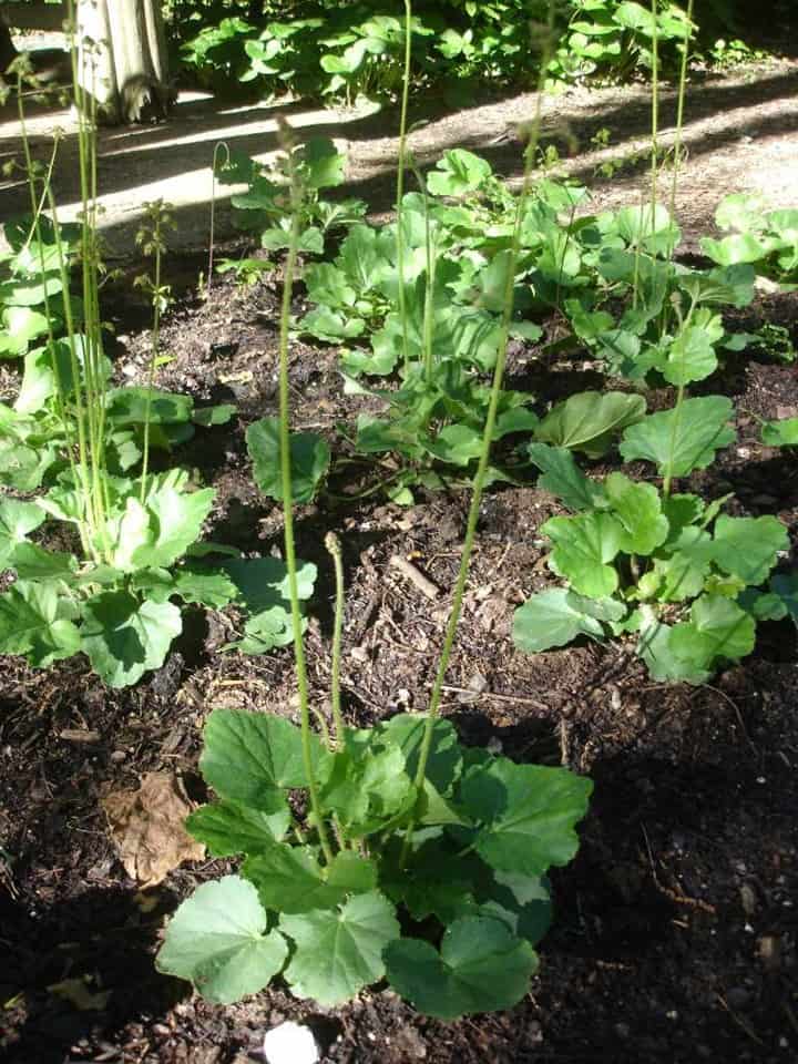 Canoe and Kayak Launching Sites - Newton Conservators