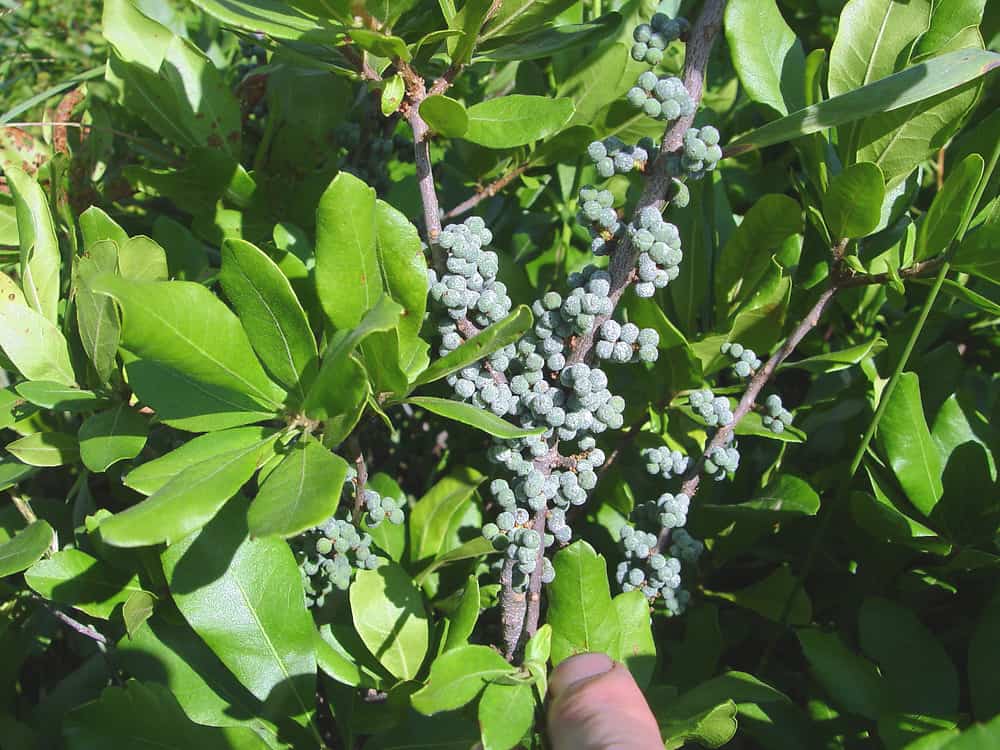 Walking, Biking, and Canoe Routes - Newton Conservators