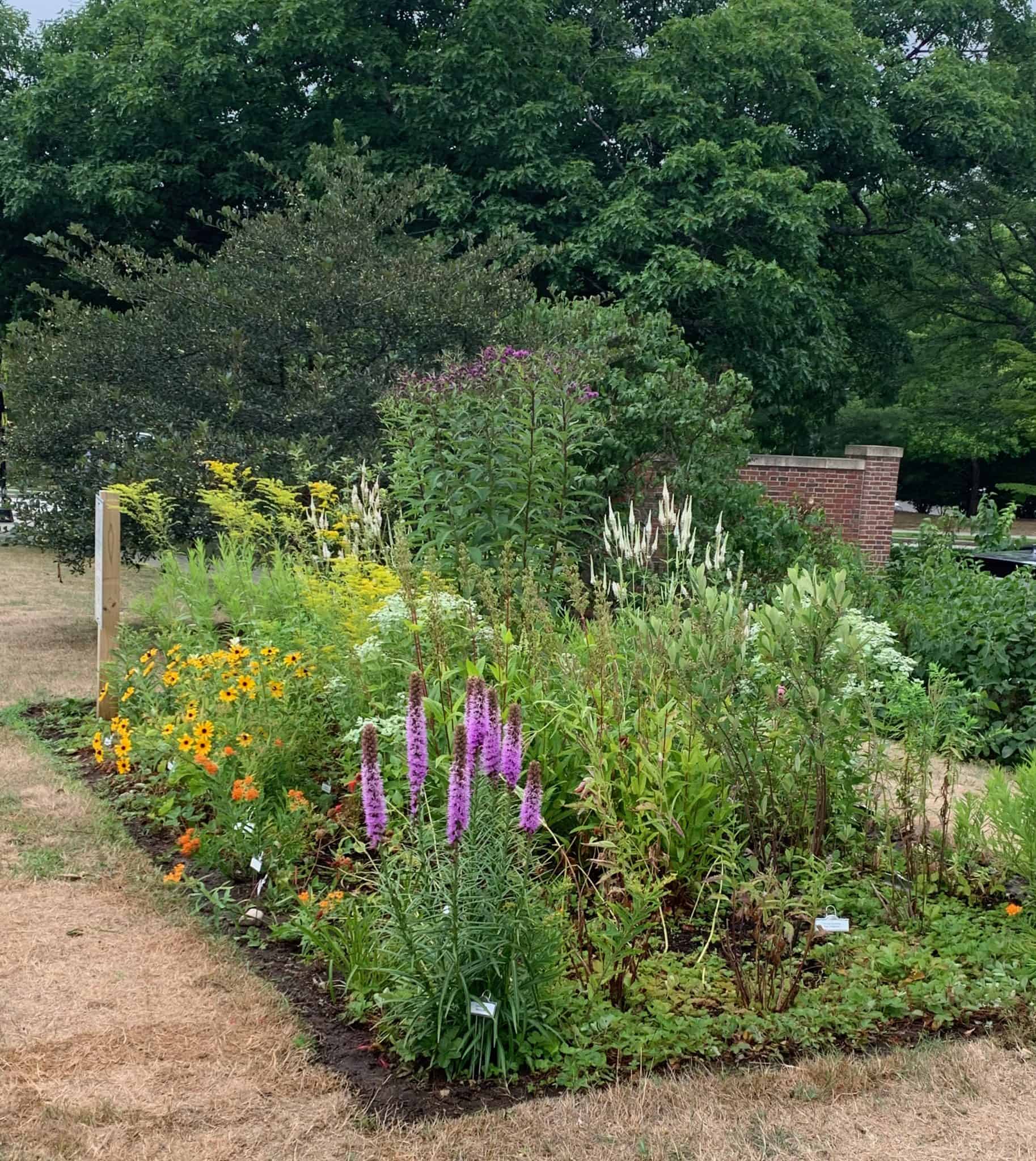 Pollinator Toolkit - Newton Conservators